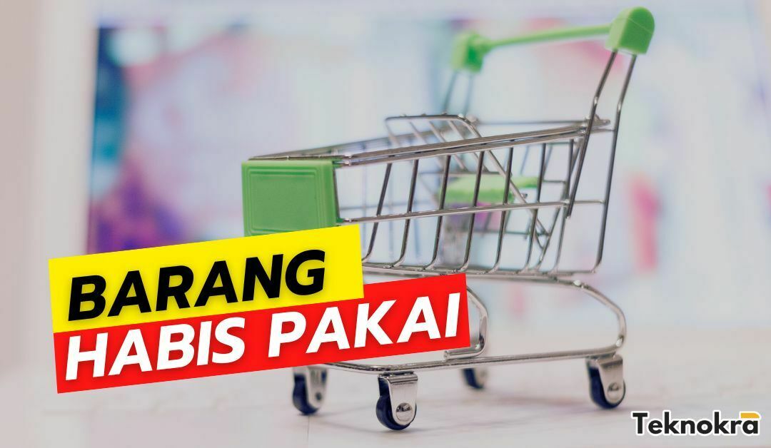 Barang Habis Pakai Adalah : Jenis dan Contohnya – Teknokra.com