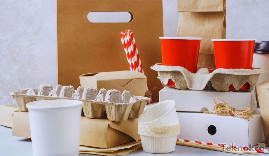 Tujuan Pengemasan Makanan, Aspek Vital dalam Industri Kuliner ...
