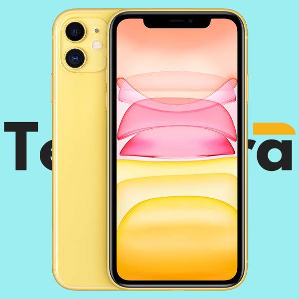 Perbedaan IPhone XR Dan 11, Hal Yang Perlu Diperhatikan Sebelum Membeli ...