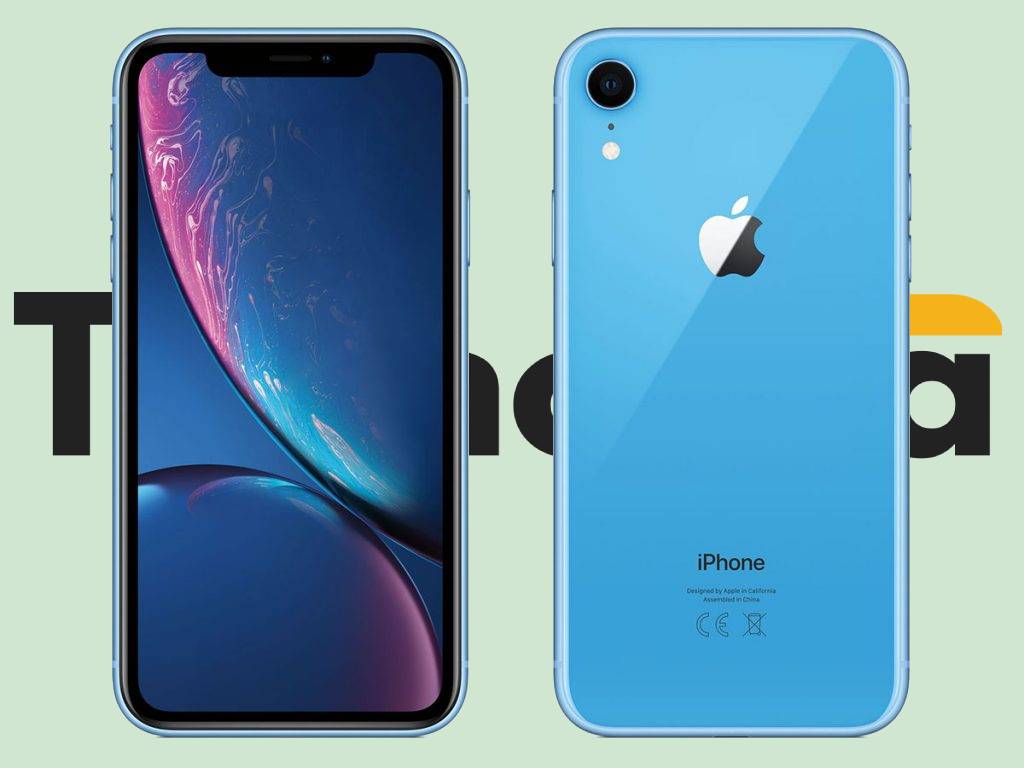 Perbedaan iPhone XR dan 11, Hal Yang Perlu Diperhatikan Sebelum Membeli – Teknokra.com